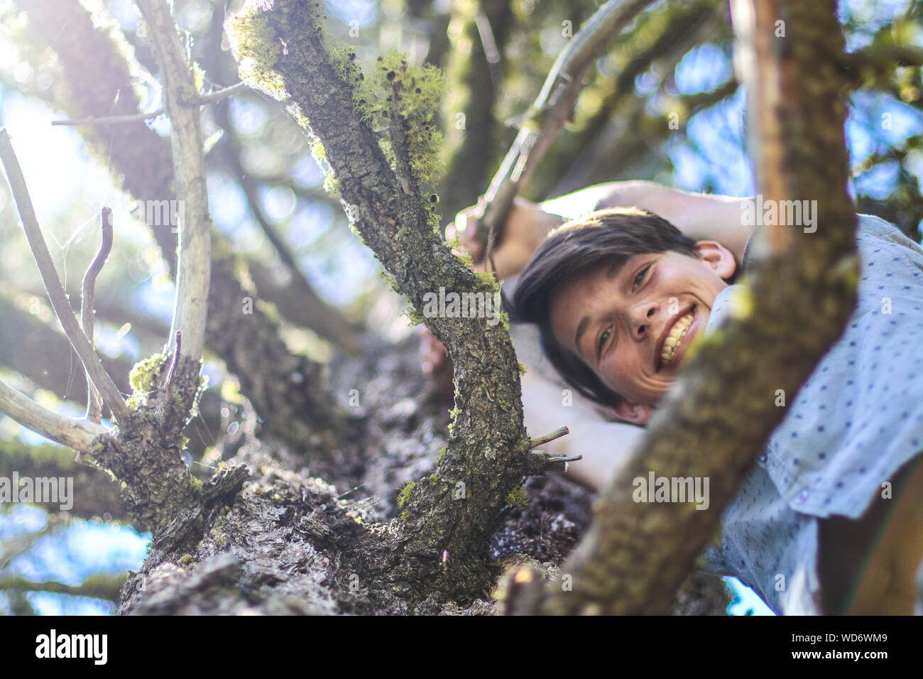 Boy hanging on branch tree hi-res stock photography and images - Alamy