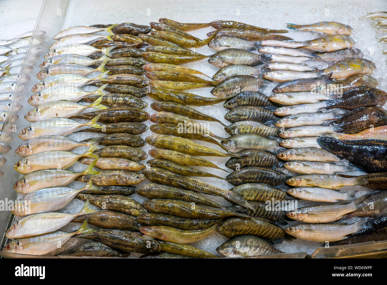 Assortment of fish for sale at seafood stall in market Stock Photo - Alamy