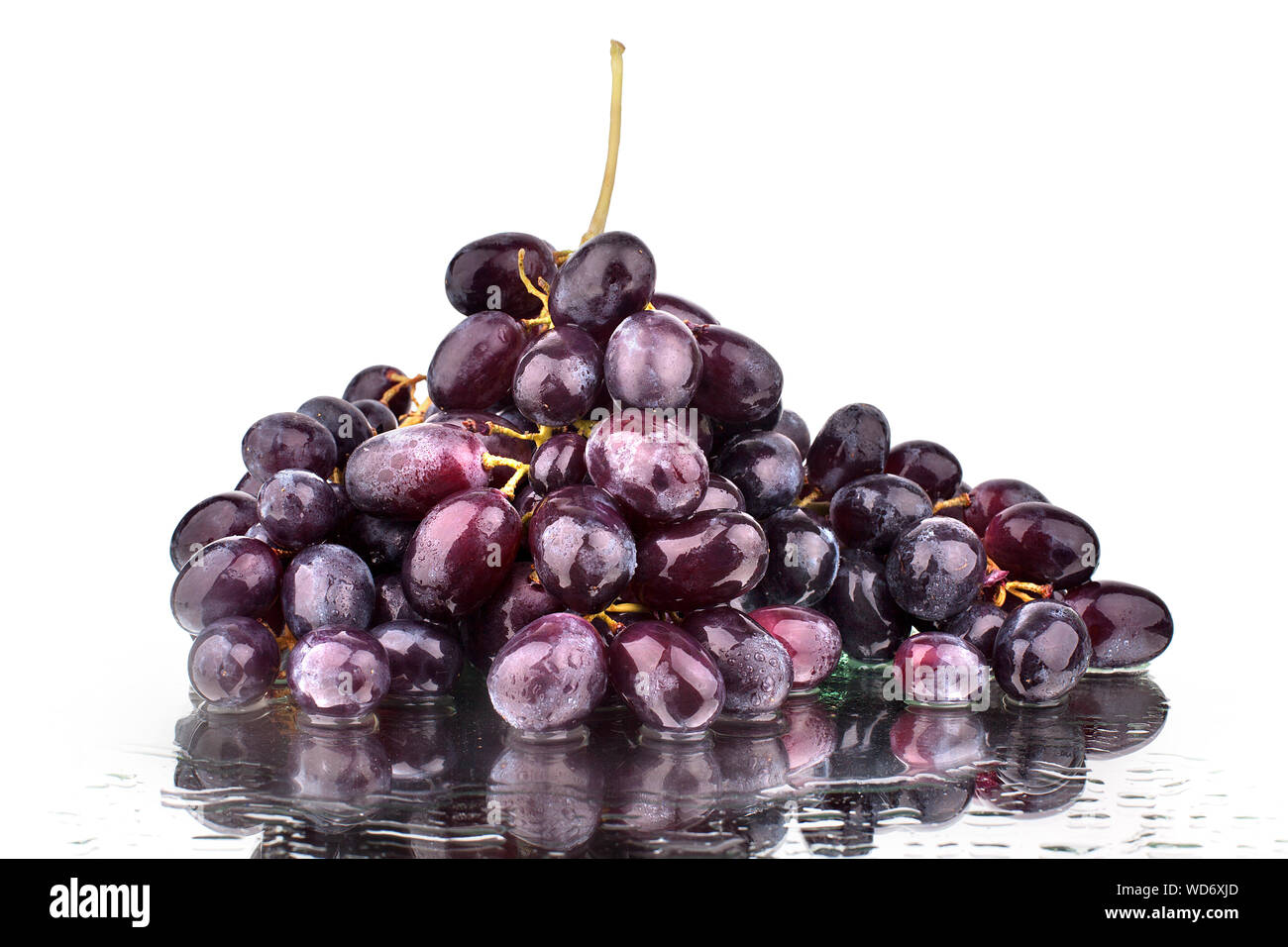 Bunch of black and red grapes on white mirror background in water drops ...