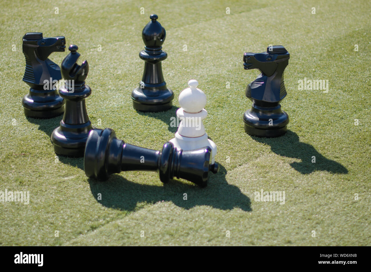 Chess arrangement hi-res stock photography and images - Alamy