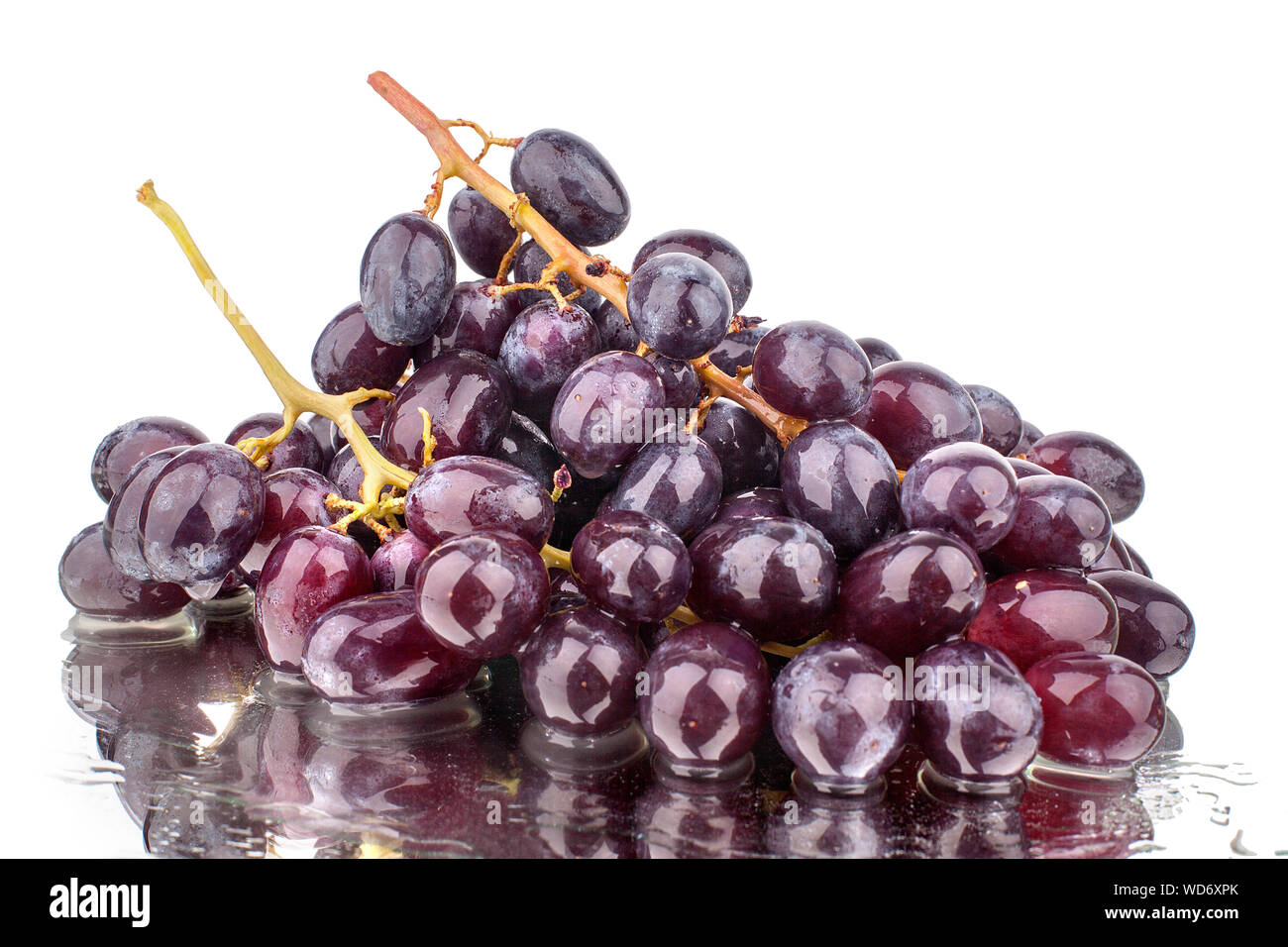 Bunch of black and red grapes on white mirror background in water drops ...