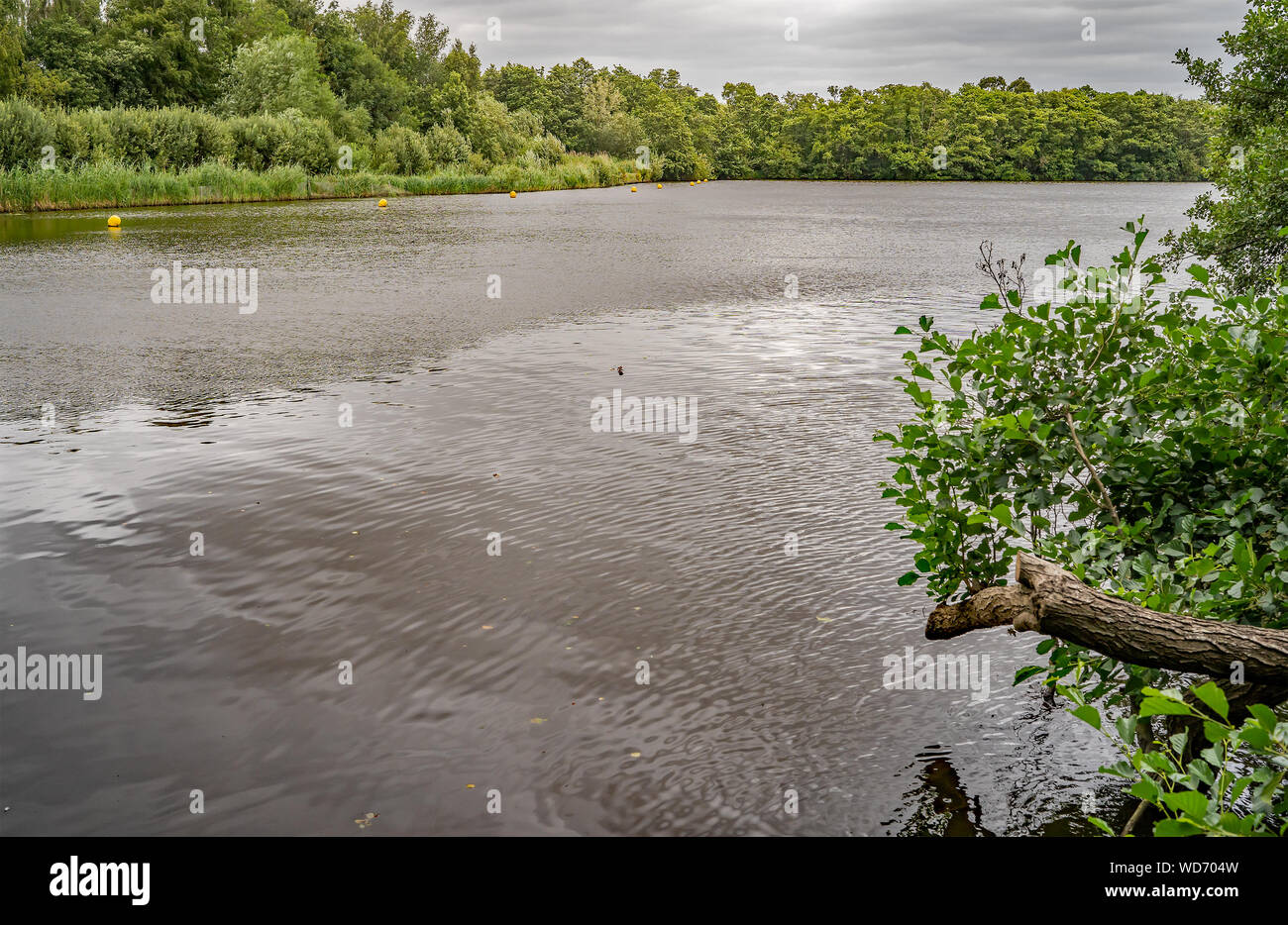 A view over Salhouse Broad, a popular tourist destination on the ...
