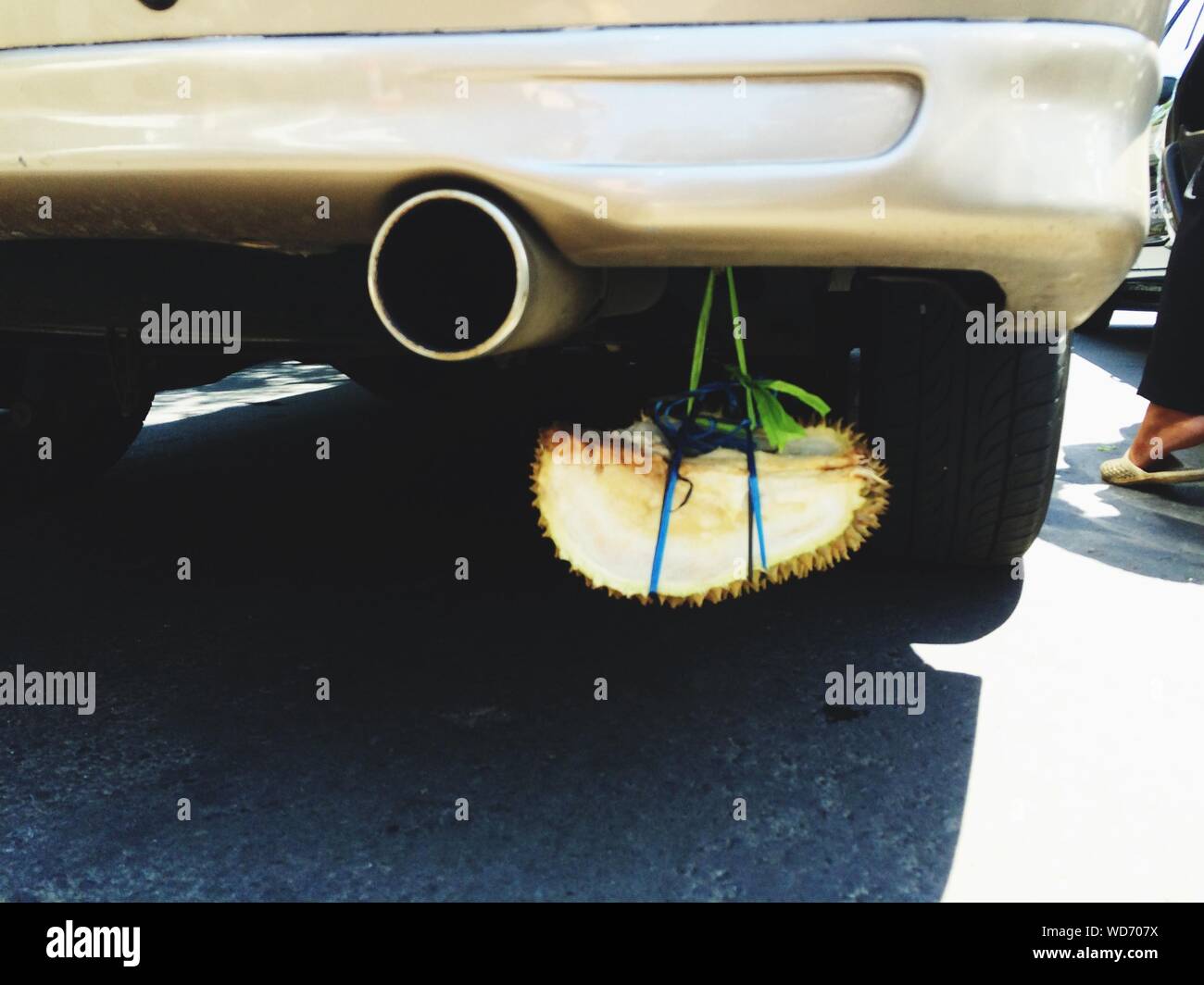 Cross section the fruit the durian hi-res stock photography and images ...