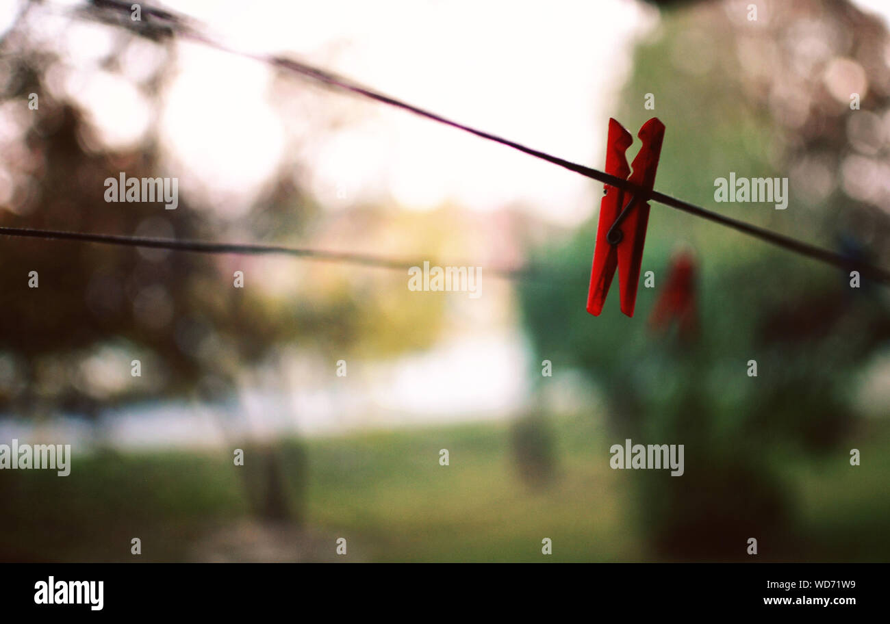 Clothespin hanging hi-res stock photography and images - Alamy