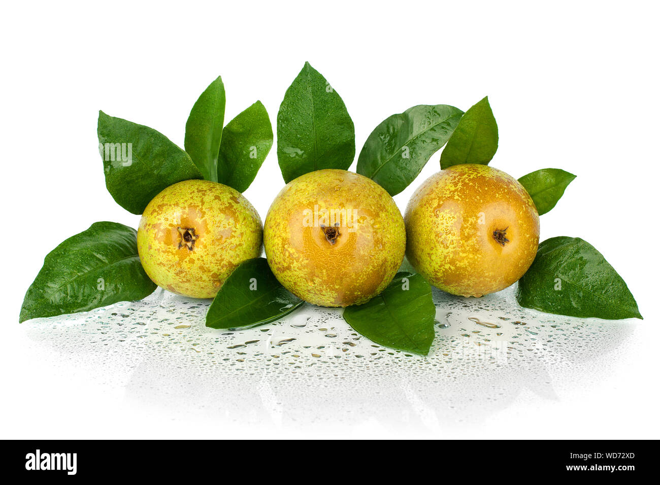 Three pears with green leaves on white mirror background with water ...