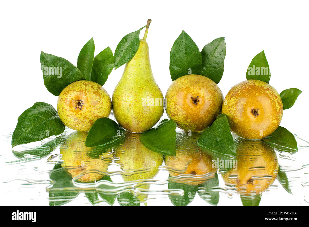 Pears with green leaves on white mirror background with water drops and ...