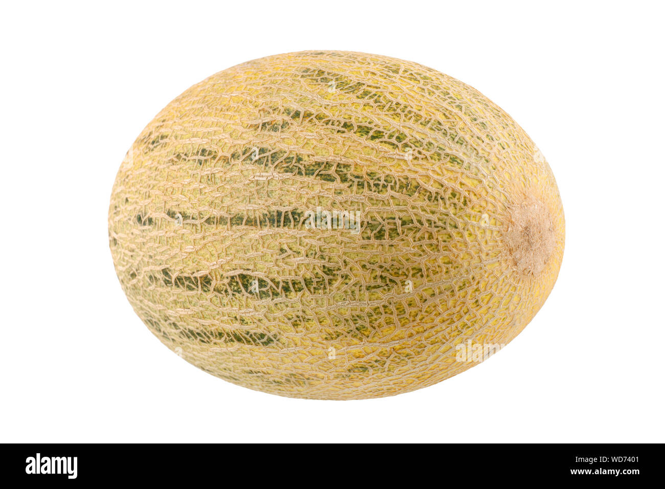 Yellow melon with green stripes on white background isolated close up ...