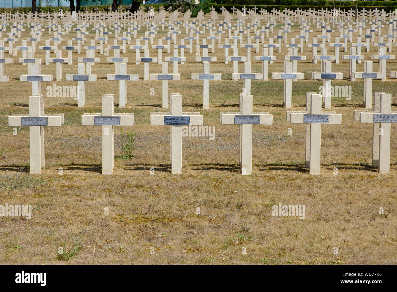 First world war battle of verdun cross hi-res stock photography and ...