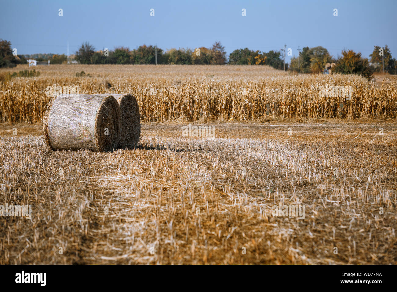 Hay bail harvesting in wonderful autumn farmers field landscape with ...