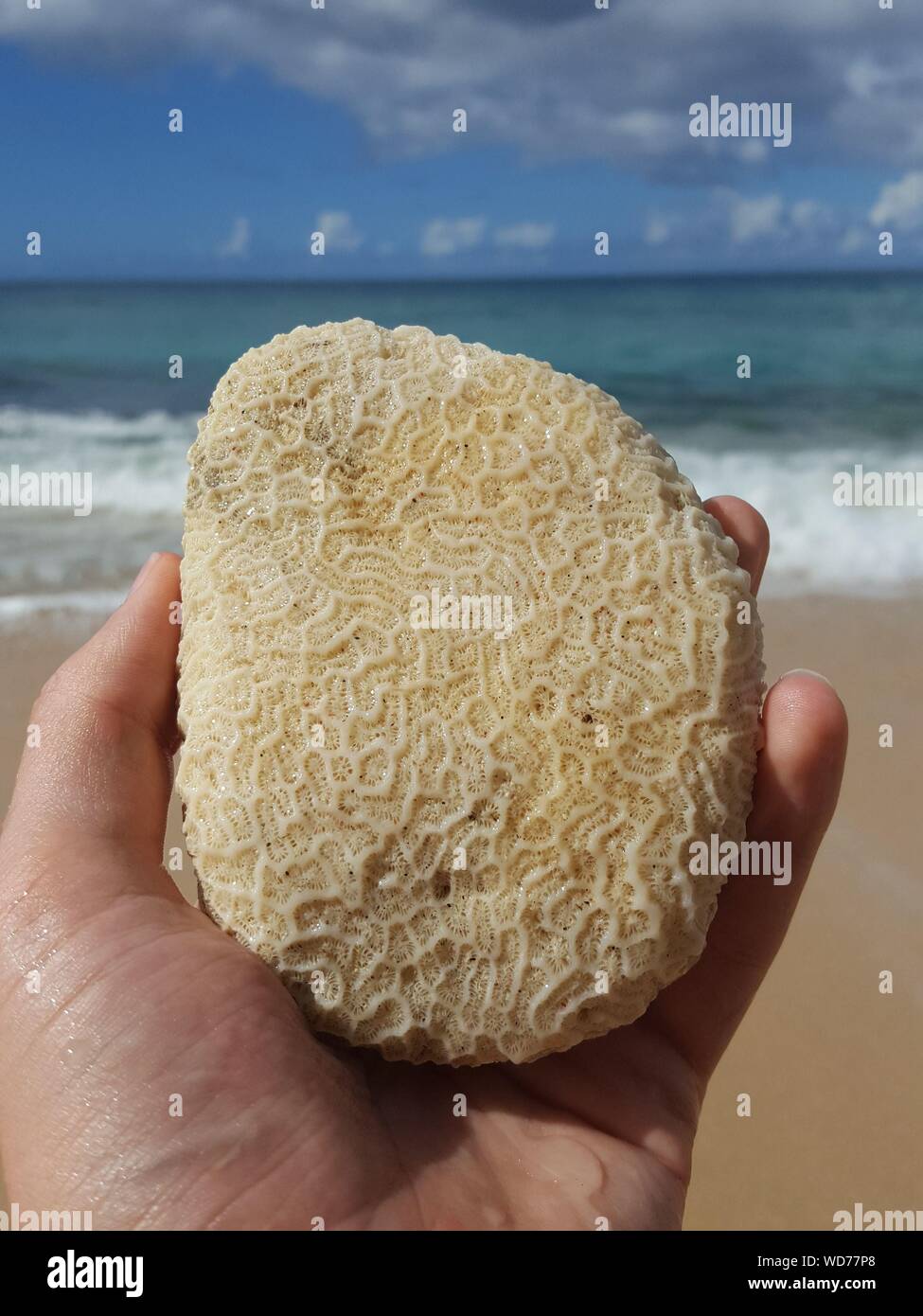Hand holding stone beach hi-res stock photography and images - Alamy