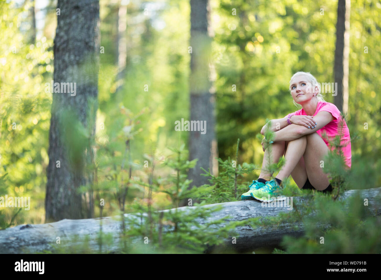 Sitting log hi-res stock photography and images - Alamy