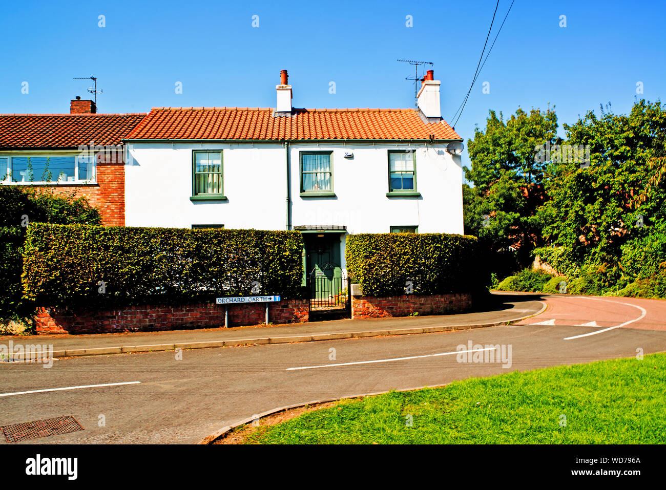 History of green hi-res stock photography and images - Alamy