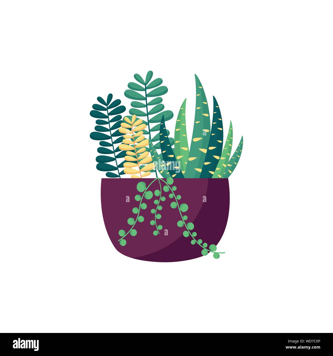 Isolated plant inside pot vector design Stock Vector Image & Art - Alamy