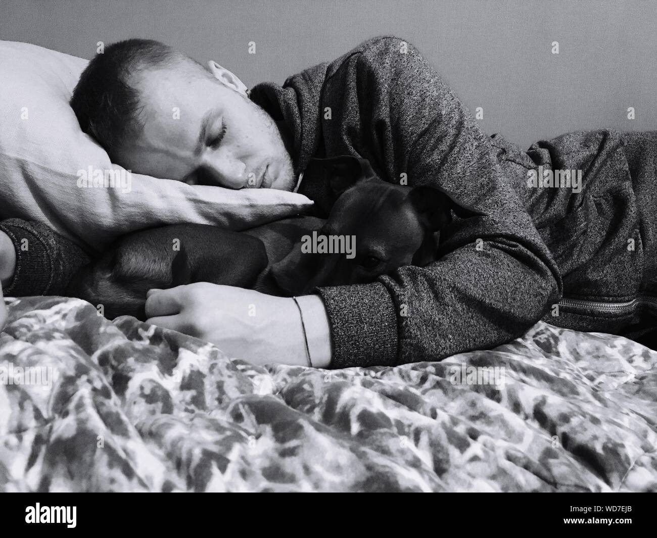 Dog and sleeping man bed hi-res stock photography and images - Alamy