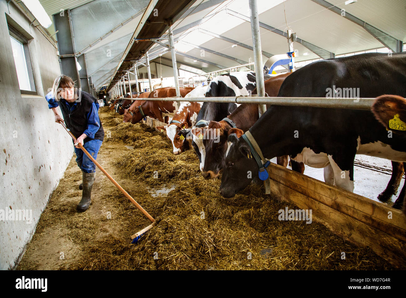 Sweeping person hi-res stock photography and images - Alamy