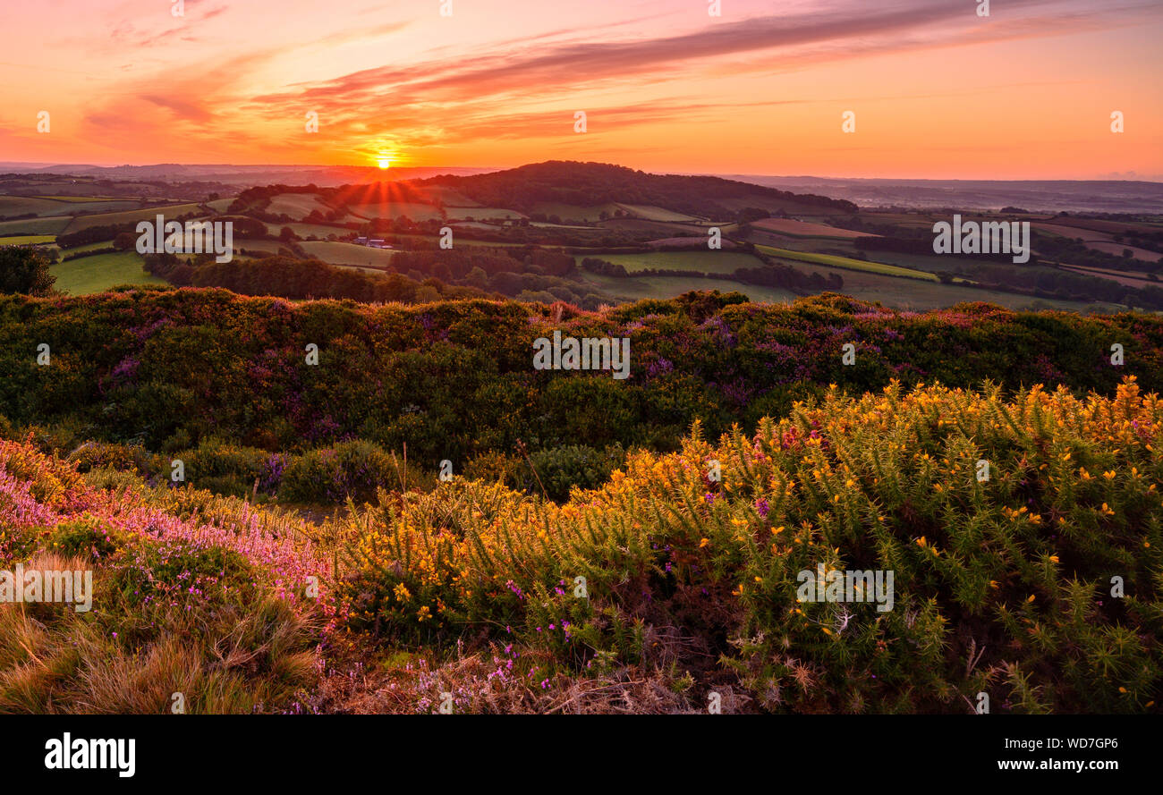 South dorset ridgeway hi-res stock photography and images - Alamy