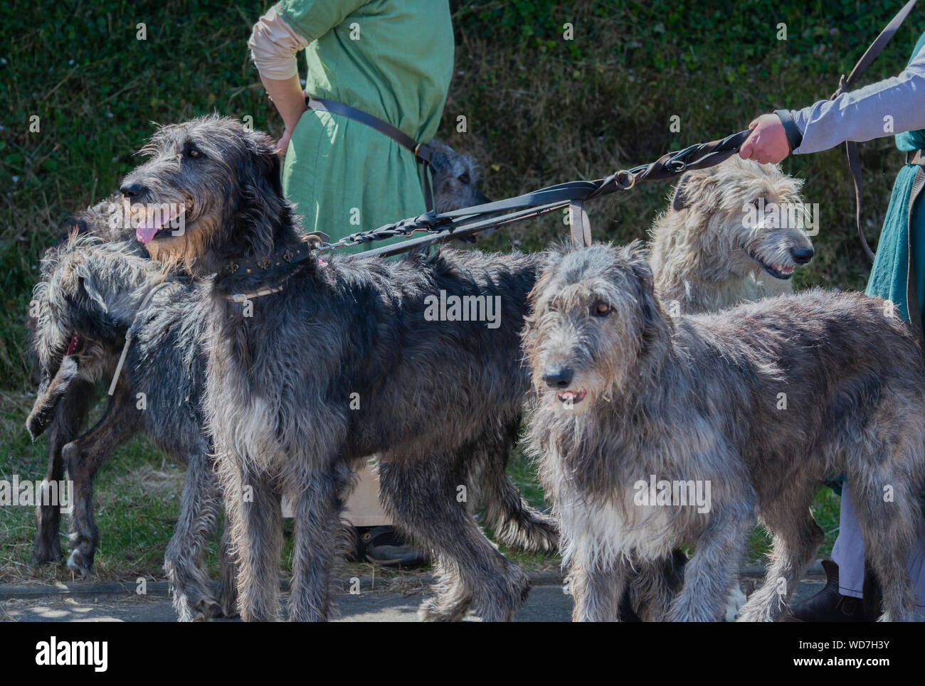 Irish people hi-res stock photography and images - Alamy