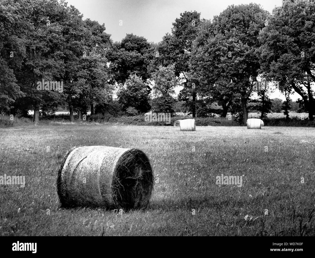 Cars Parked In Field High Resolution Stock Photography and Images - Alamy