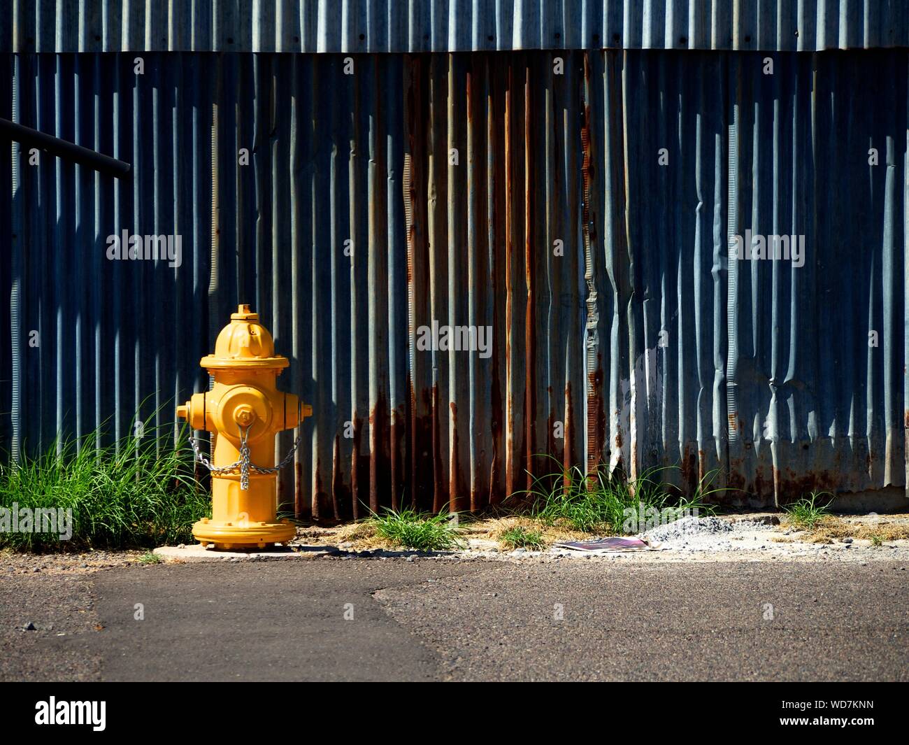 Yellow fire hydrant on city hi-res stock photography and images - Alamy