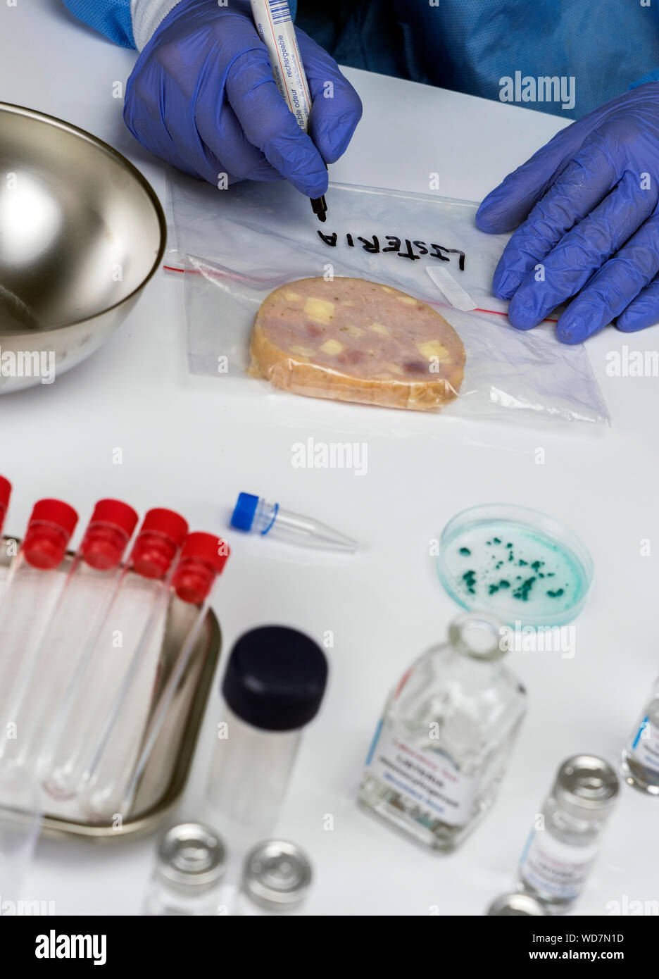 Listeria monocytogenes petri hi-res stock photography and images - Alamy