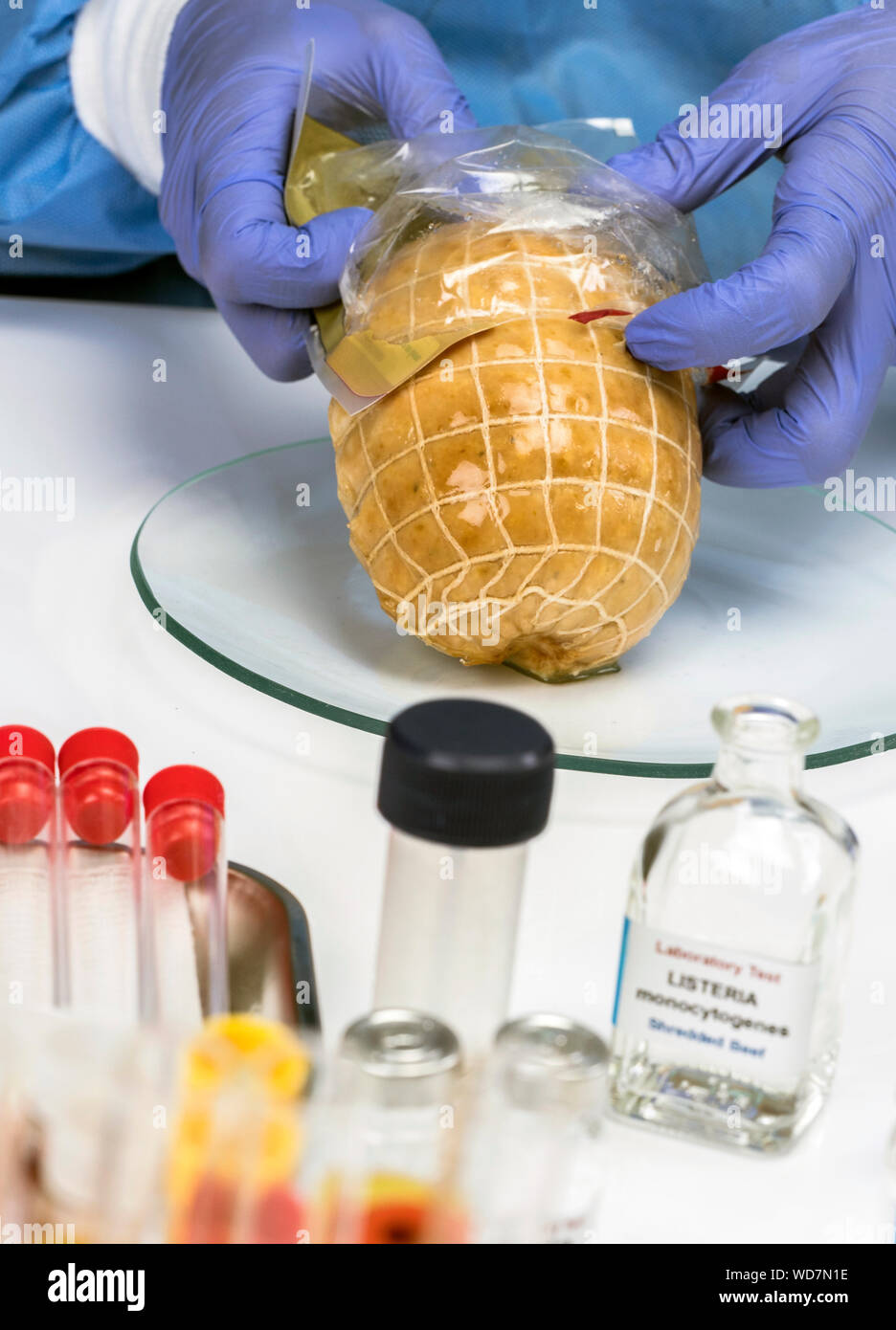 Listeria monocytogenes petri hi-res stock photography and images - Alamy