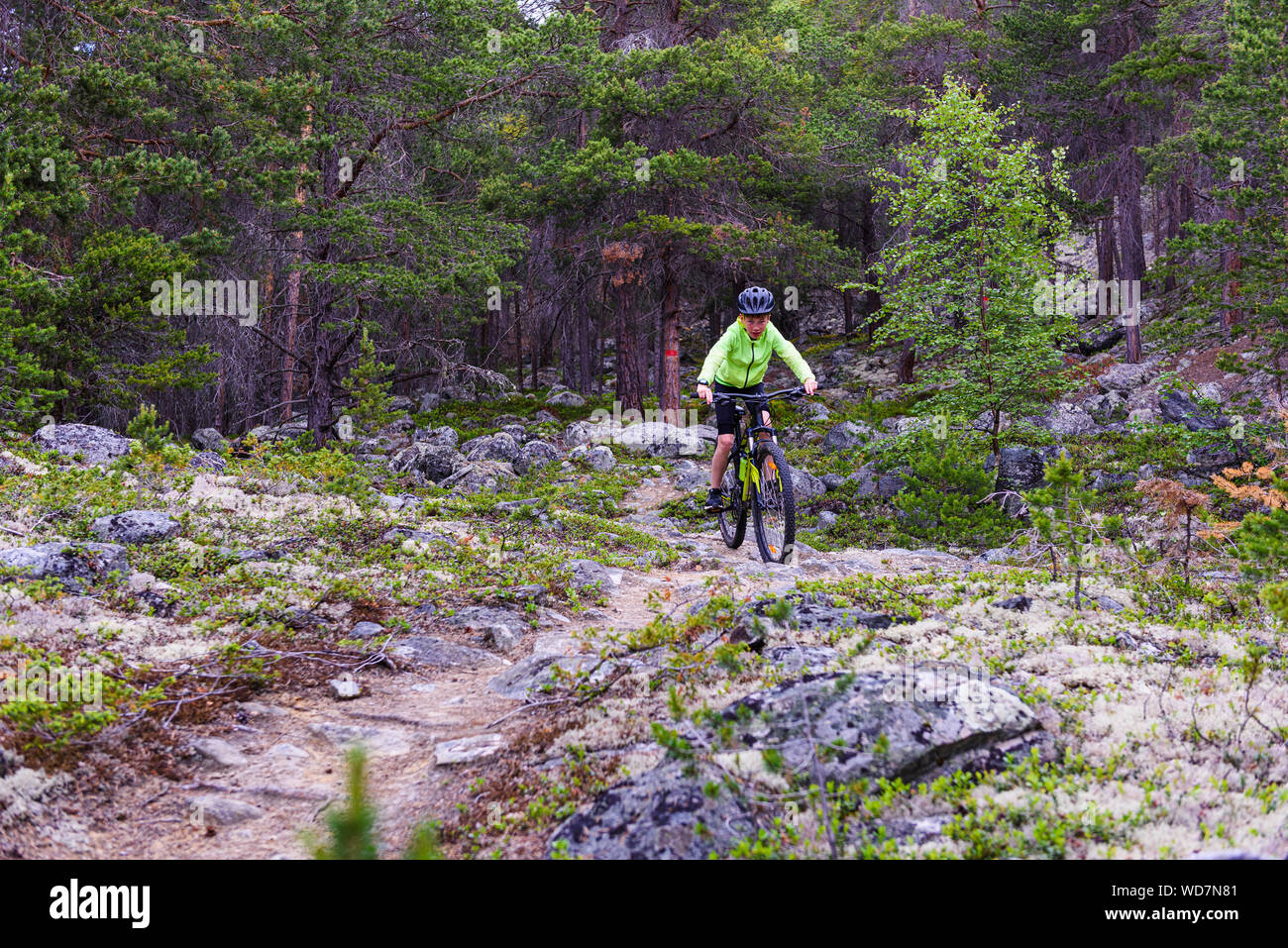 Boy riding Mountain Bike in Norway Stock Photo - Alamy
