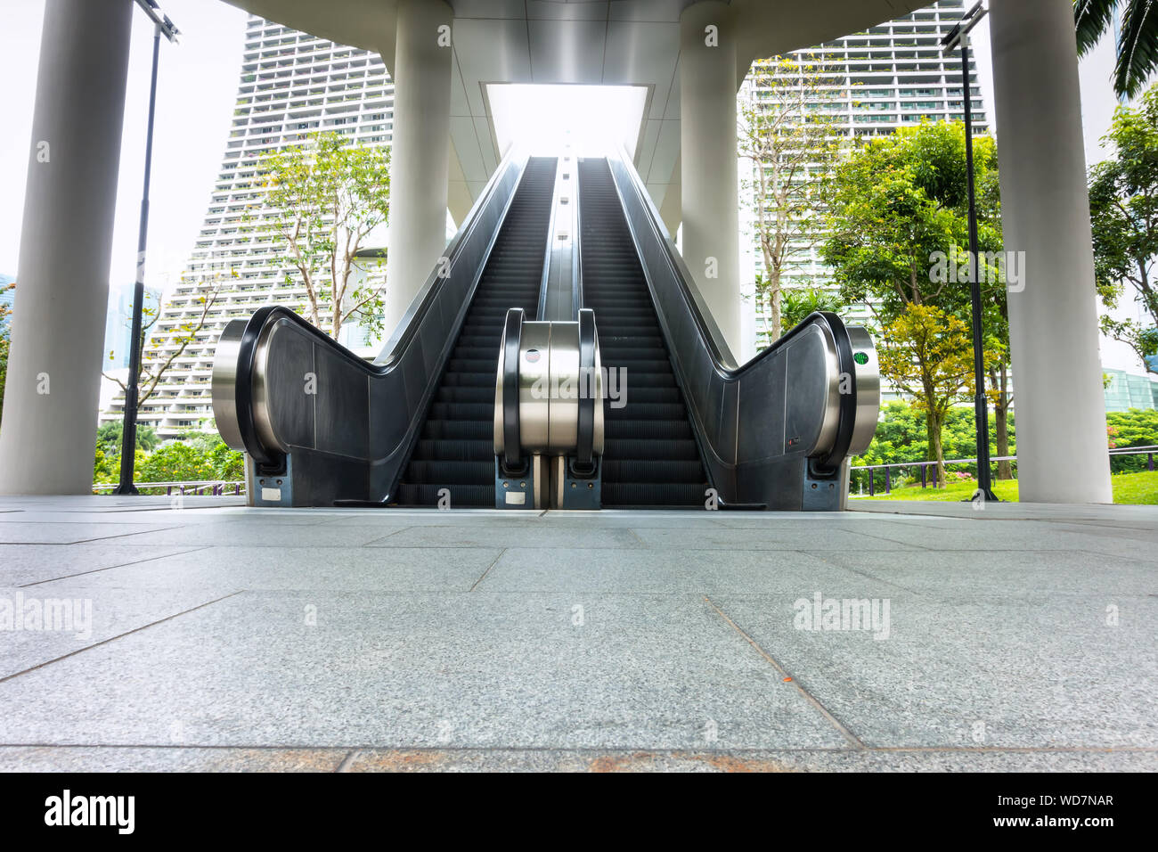 Modern Luxury Escalators Staircase and Decoration in Office Building ...