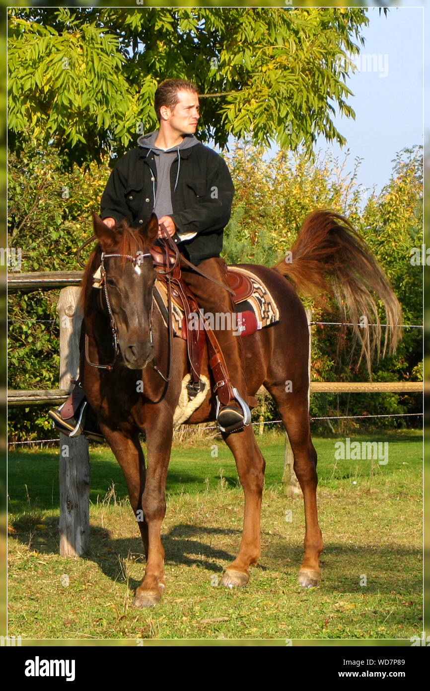 Man riding horse hi-res stock photography and images - Alamy
