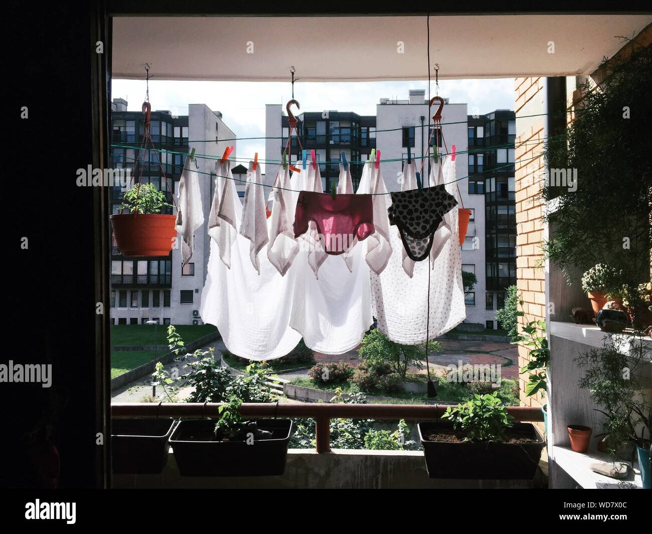 Drying shelf hi-res stock photography and images - Alamy