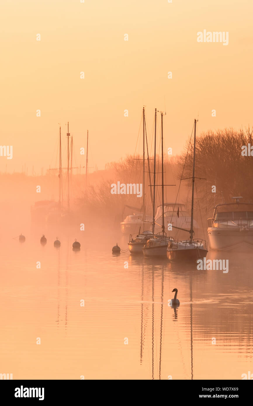 Wareham River, Dorset, UK Stock Photo - Alamy