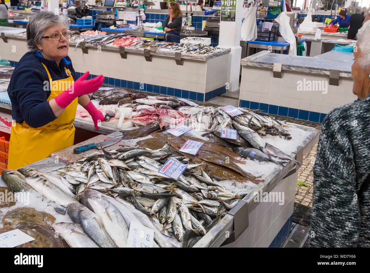 fish stalls at the Livramento food market in Setubal town, Portugal ...