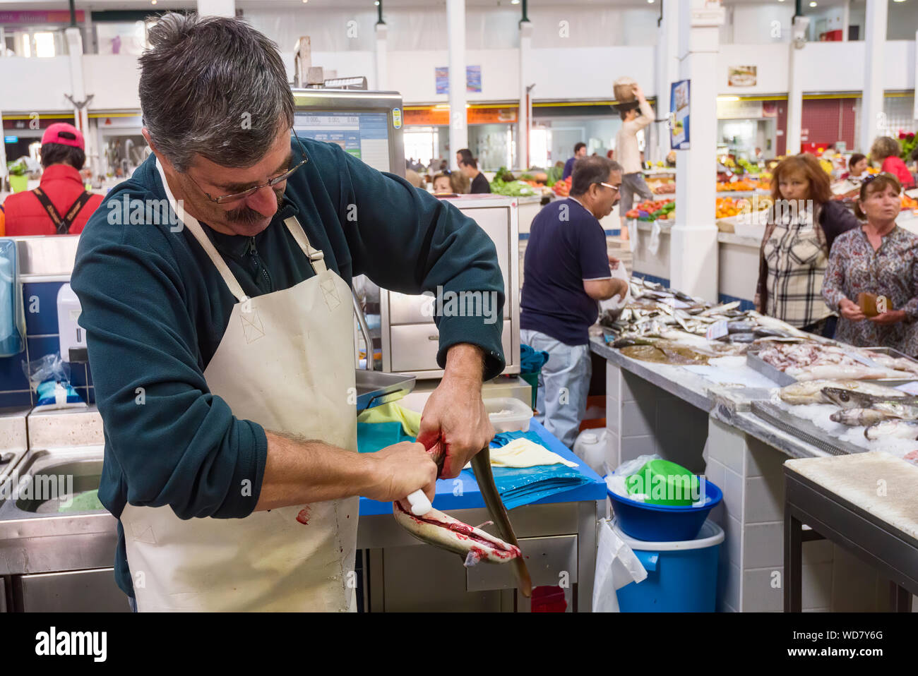 fresh fish of the day for sale in the Livramento food market in Setubal ...