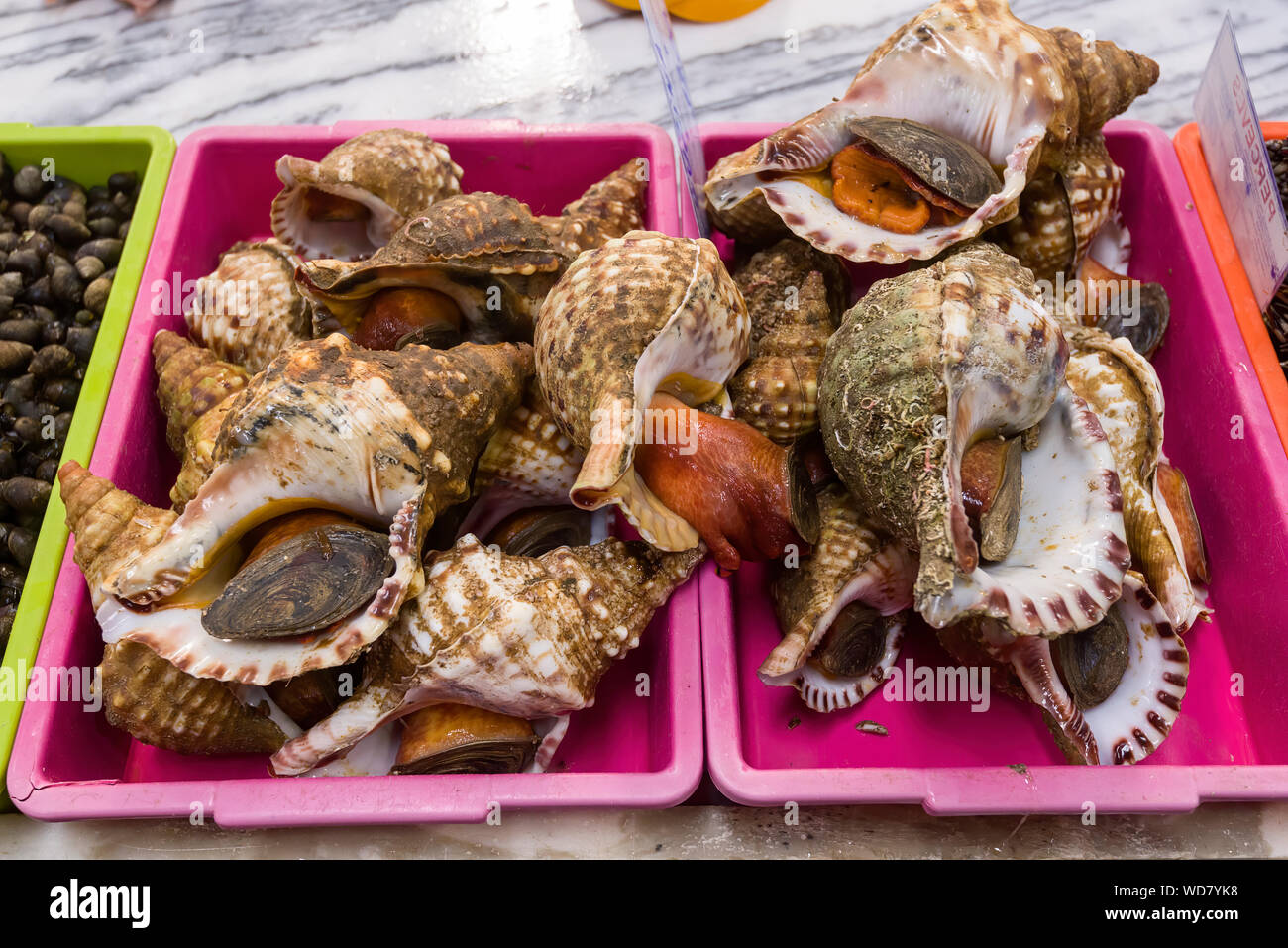 Whelks close up hi-res stock photography and images - Alamy