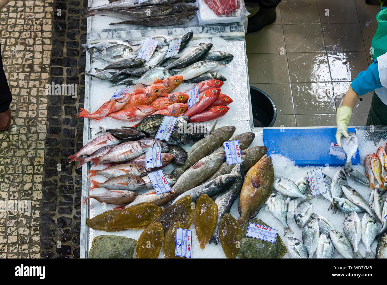 fresh fish of the day for sale in the Livramento food market in Setubal ...