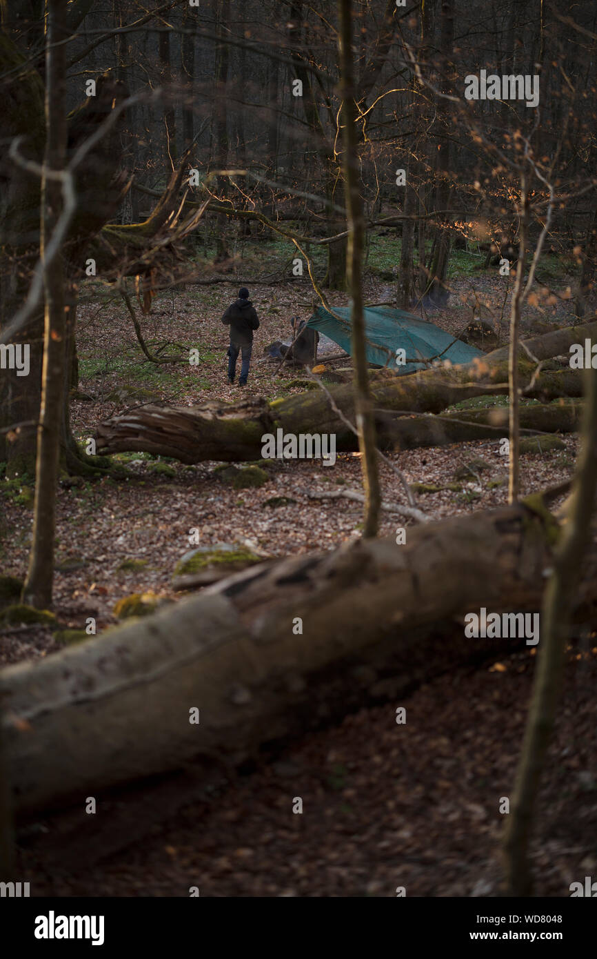Camping forest man hi-res stock photography and images - Alamy