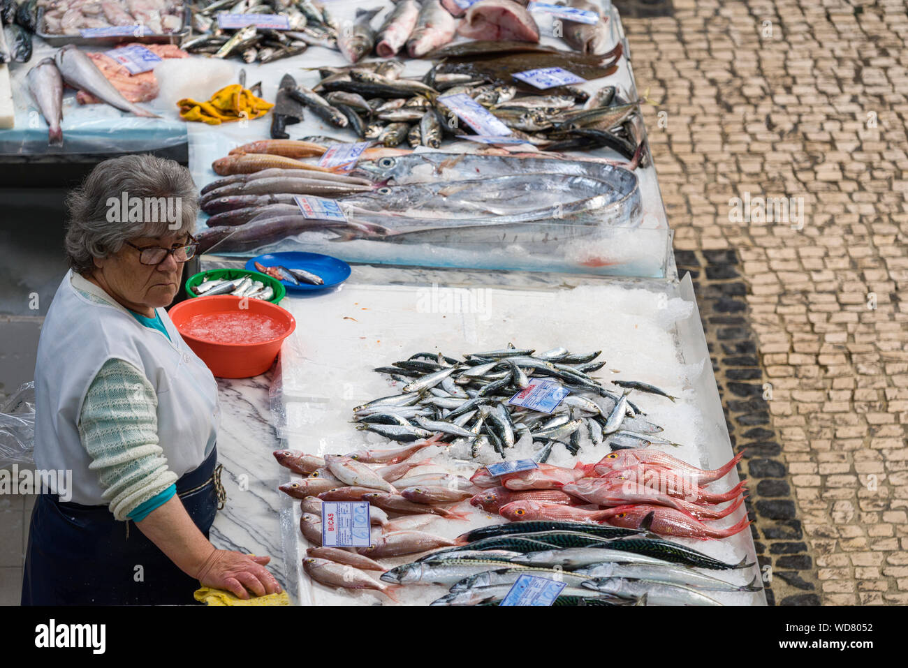fish stalls at the Livramento food market in Setubal town, Portugal ...