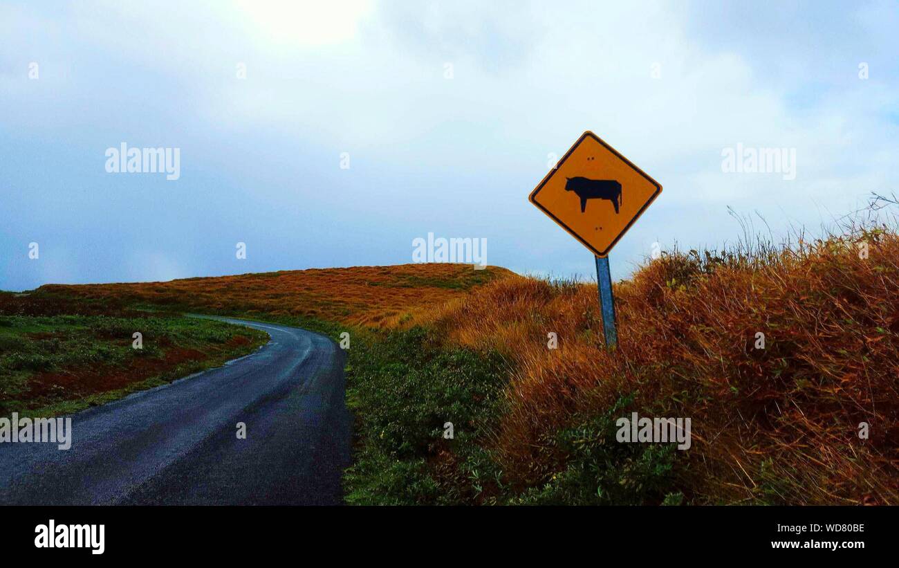 Cattle road sign hi-res stock photography and images - Alamy