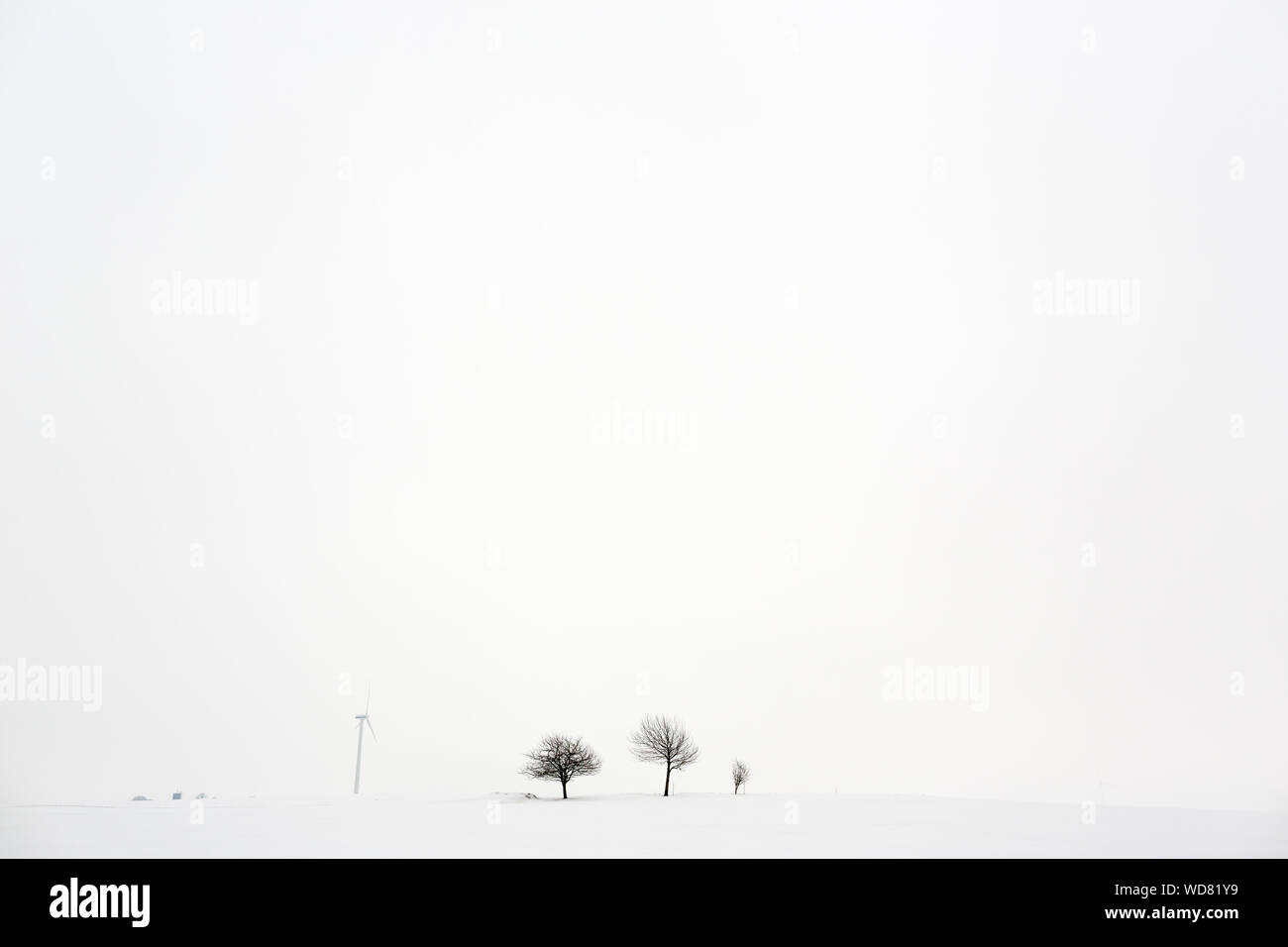 Trees with wind hi-res stock photography and images - Alamy