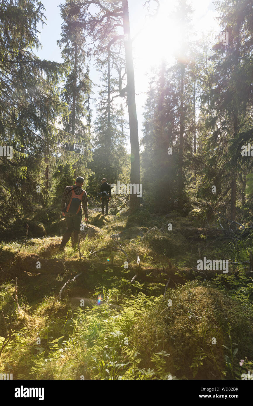 Men in nature hi-res stock photography and images - Alamy