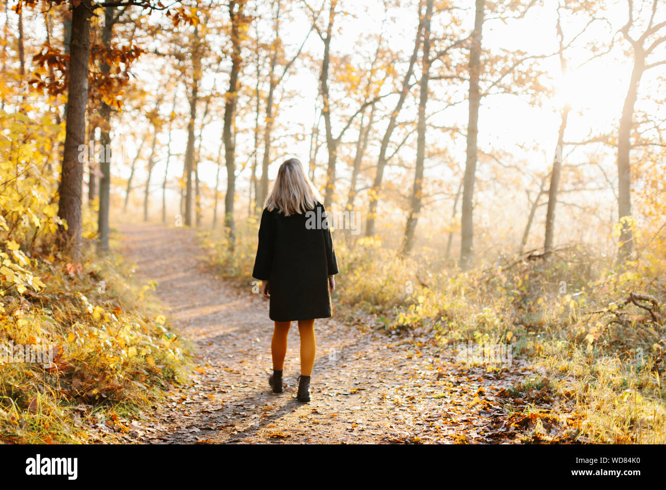 Woman walking in the forest hi-res stock photography and images - Alamy