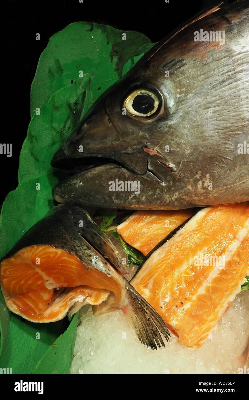 Salmon fish hi-res stock photography and images - Alamy