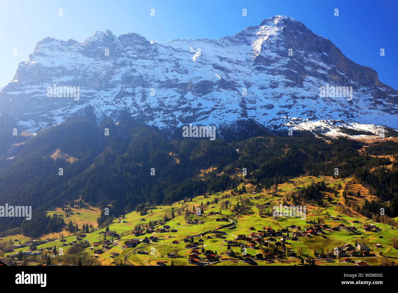 View of grindelwald hi-res stock photography and images - Alamy