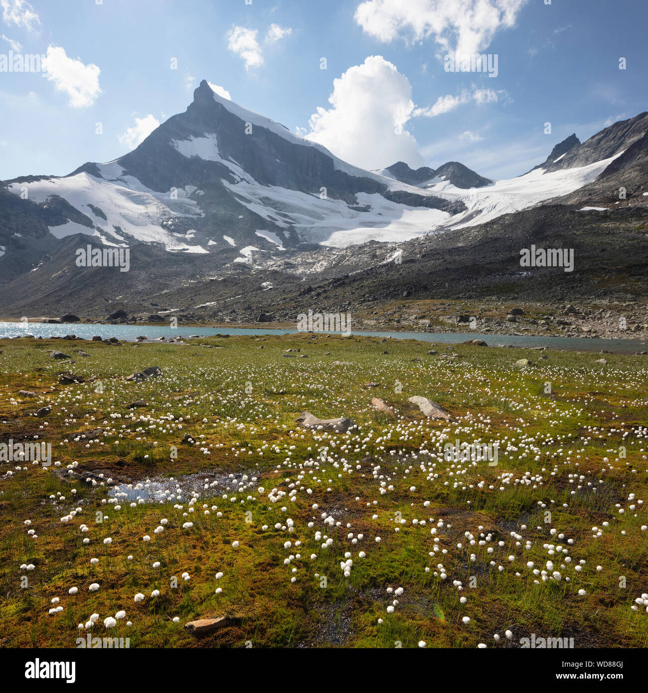 Jotunheimen national park, norway hi-res stock photography and images ...