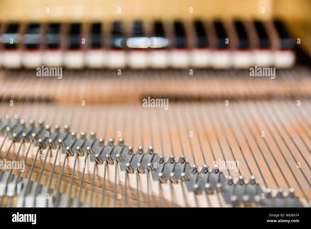 Piano Strings High Resolution Stock Photography and Images - Alamy