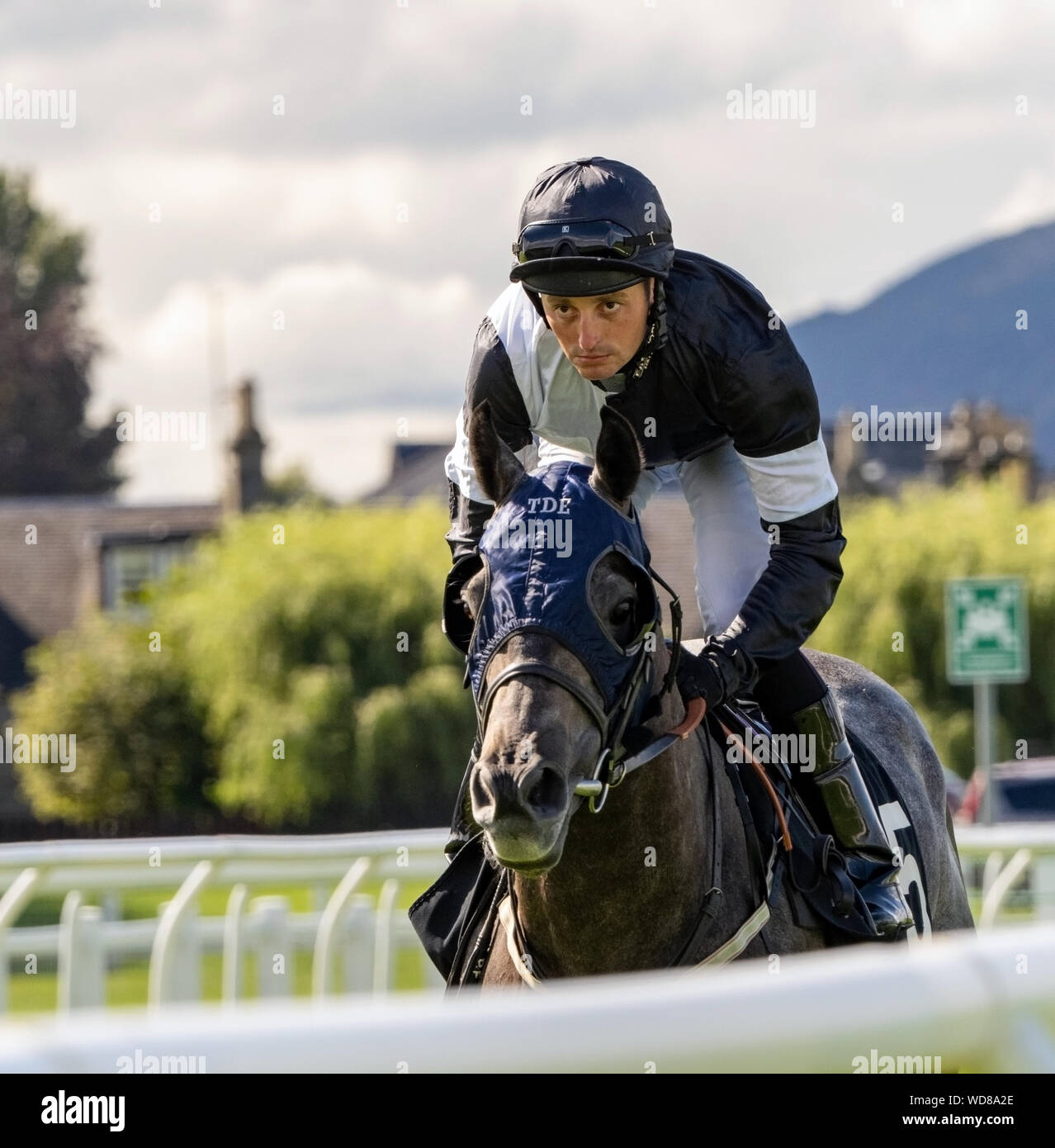 Trainer tim easterby hi-res stock photography and images - Alamy
