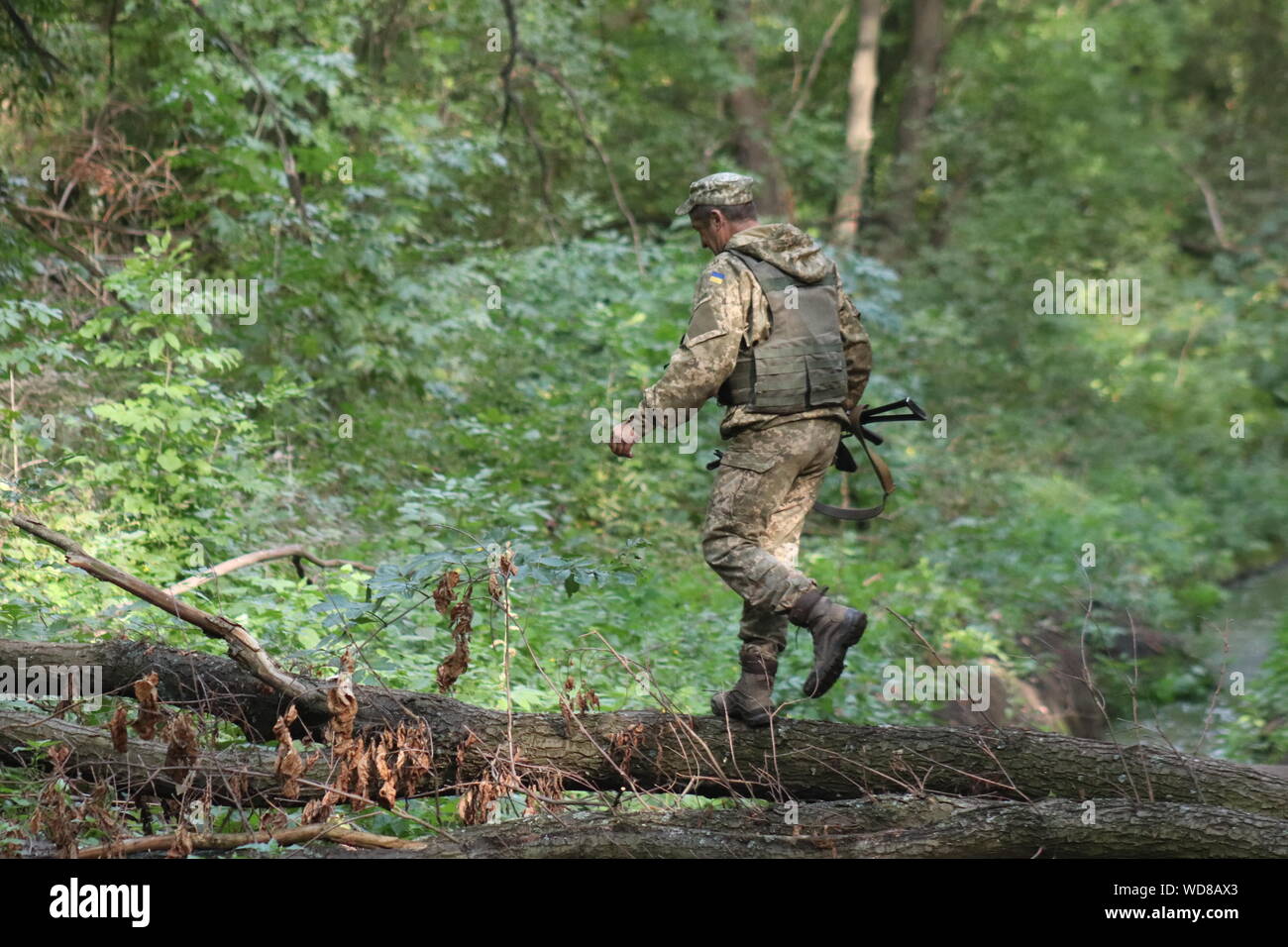 Tree army hi-res stock photography and images - Alamy