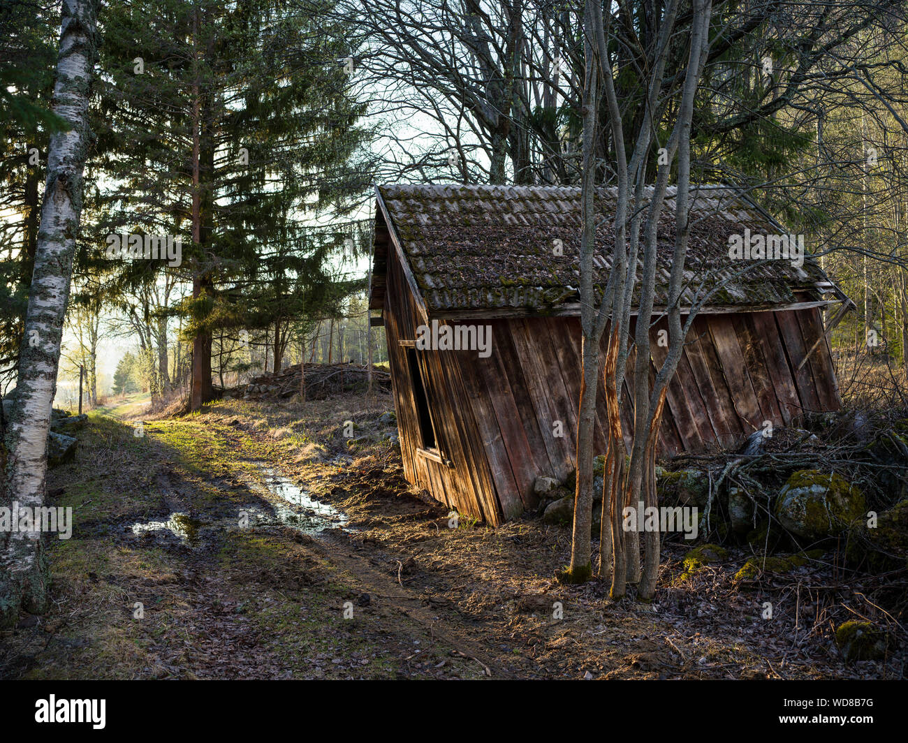 Barn forest hi-res stock photography and images - Alamy