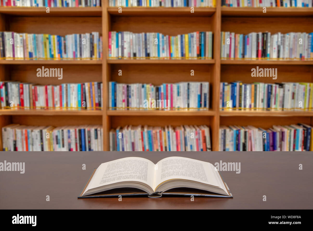 Reading a library book hi-res stock photography and images - Alamy