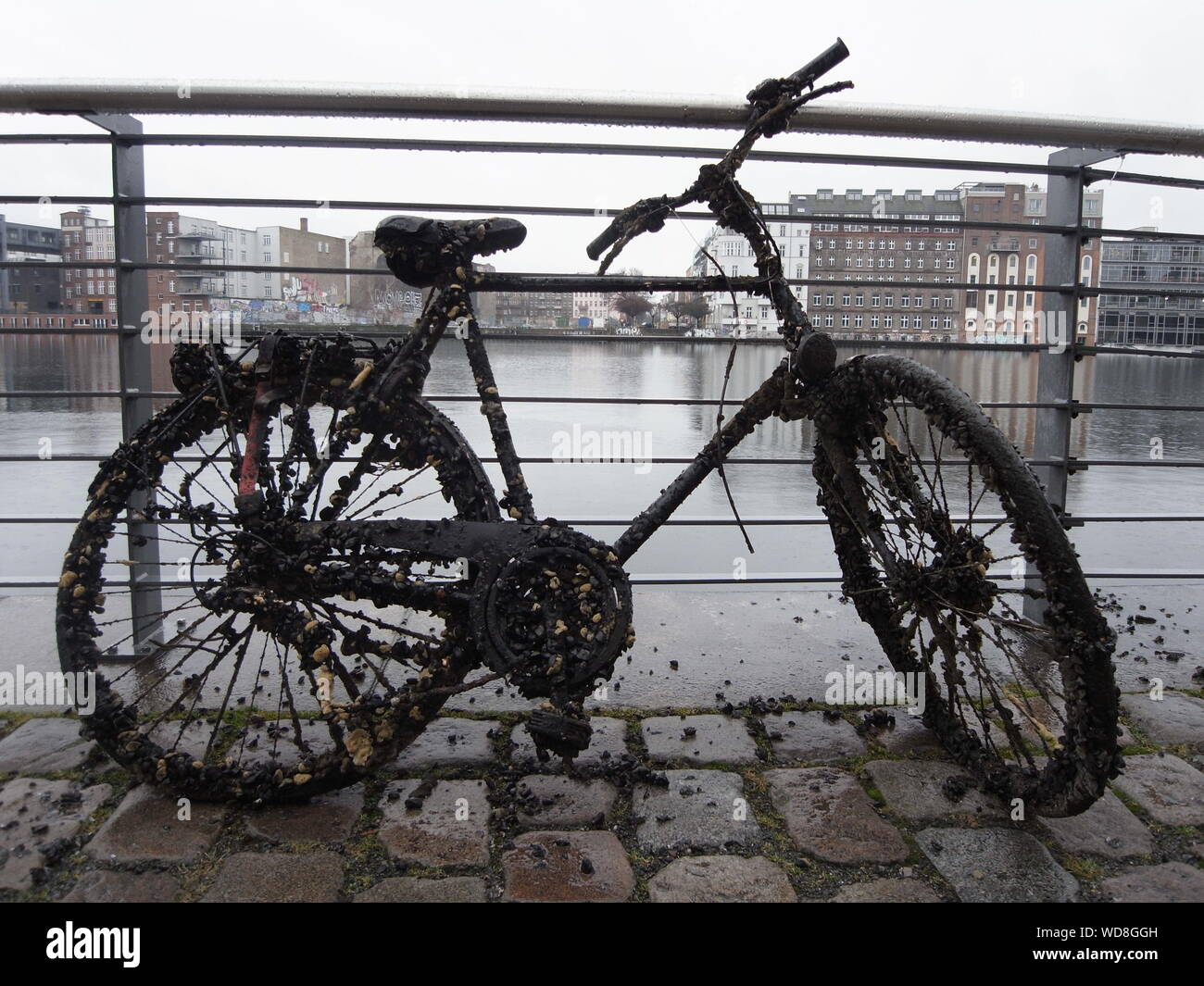Muddy Bicycle High Resolution Stock Photography and Images - Alamy