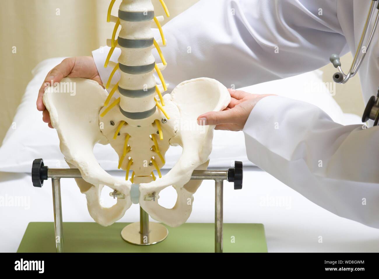 Skeleton of doctor hi-res stock photography and images - Alamy